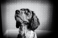 Dominic Old Photography in Salisbury, Wiltshire SP2 7QY