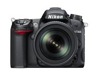 Grays of Westminster in London SW1V 2LP