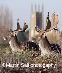 Martin Salt Photography in Stratford Upon Avon, Warwickshire CV37 7AN