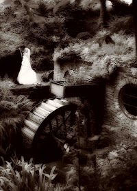 Robert Usher Photography in High Barnes, Sunderland SR4 7NN